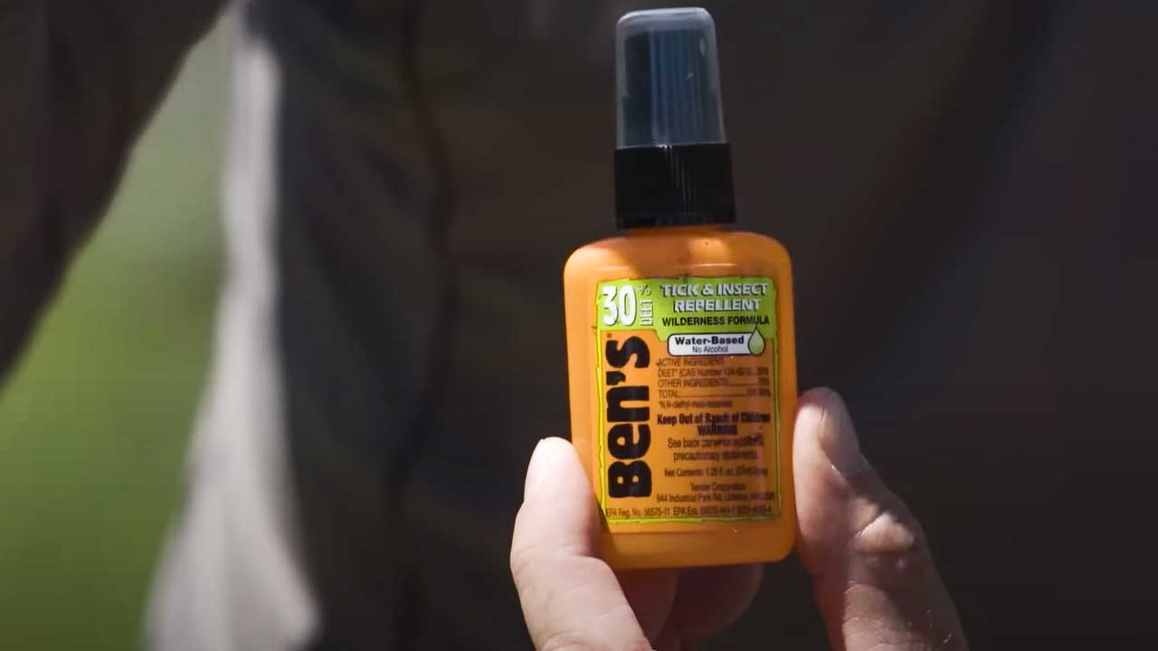 How to Keep Bugs Away When Camping - In4adventure