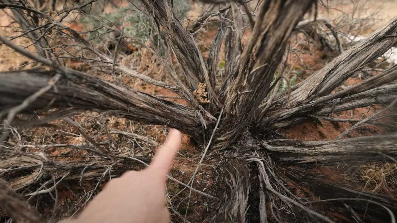 How to Start a Fire in the Wild with Sticks - In4adventure
