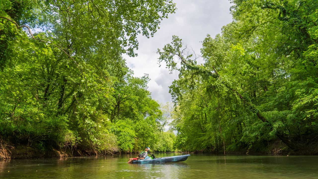 Paddling the Flint River - In4adventure