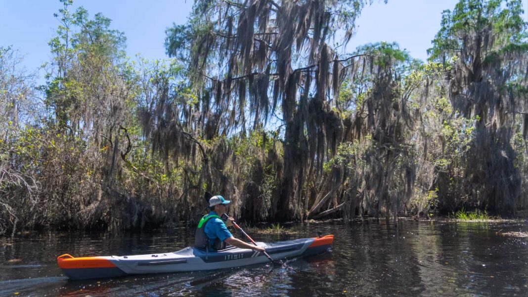 Kayaking the Okefenokee Swamp - In4adventure