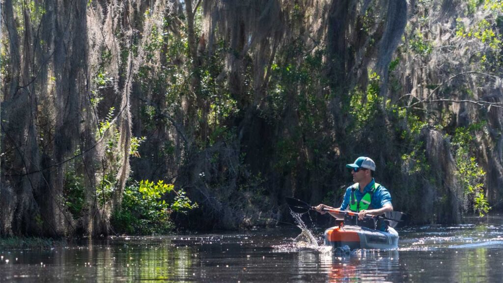 Kayaking the Okefenokee Swamp - In4adventure