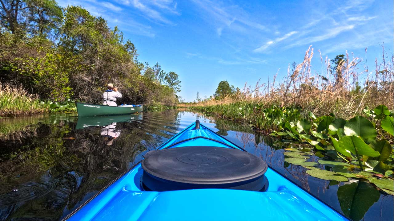 Kayak Camping in the Okefenokee Swamp | In4Adventure