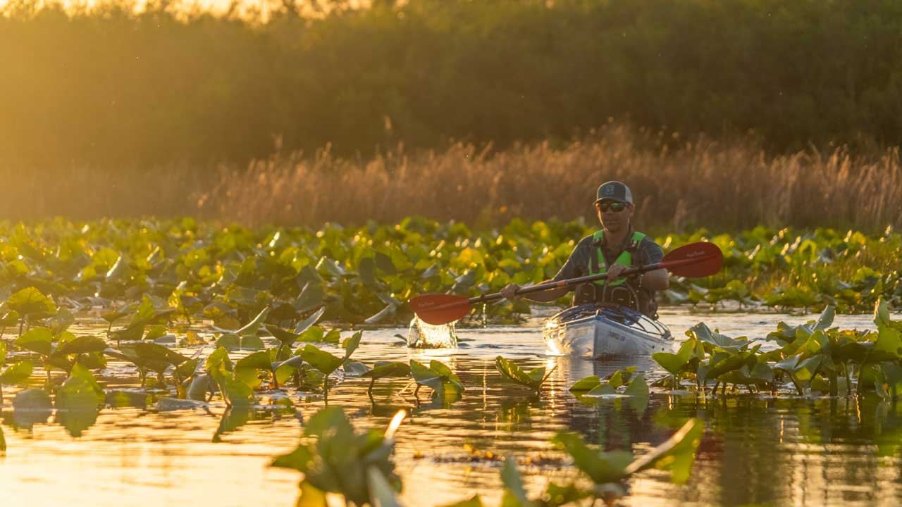 Kayak Camping in the Okefenokee Swamp | In4Adventure