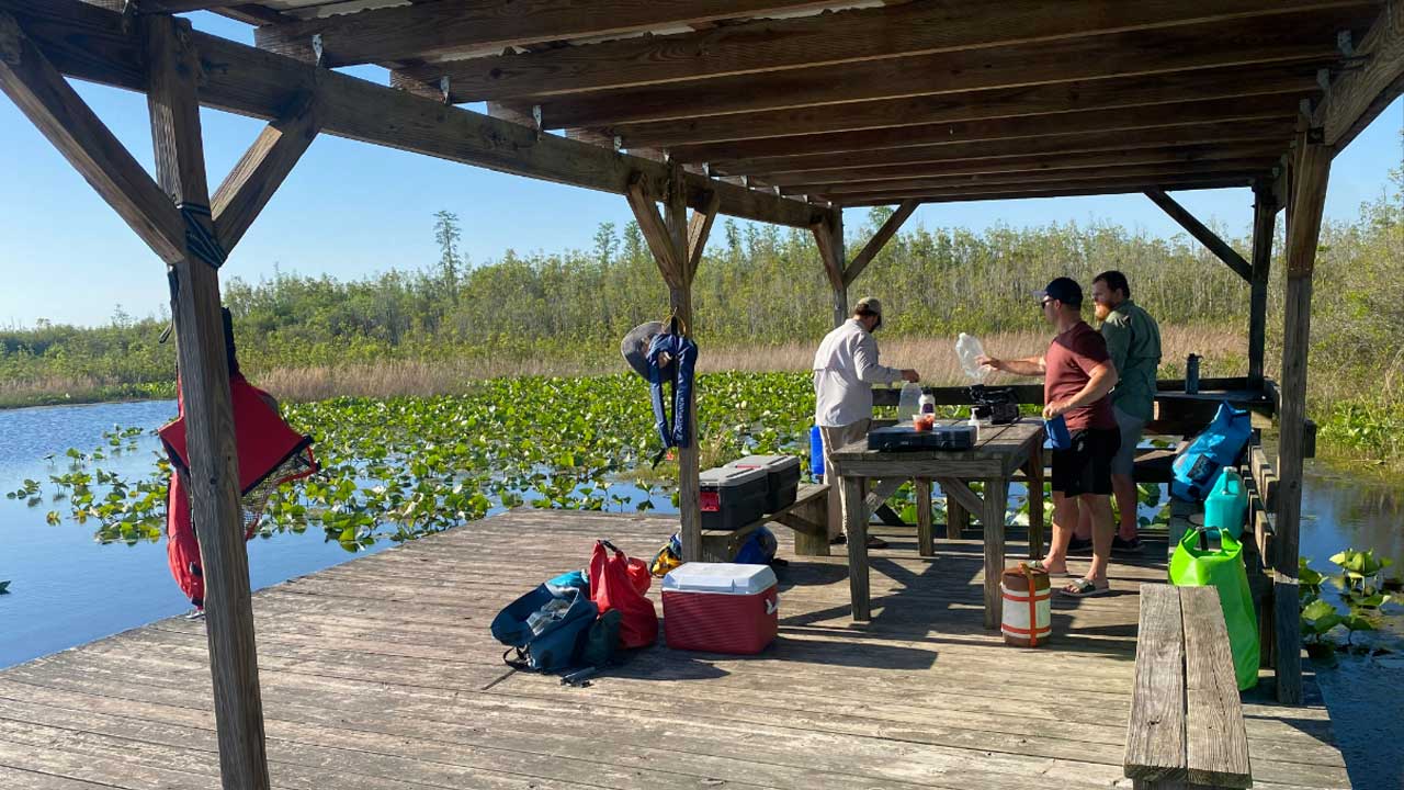 Kayak Camping in the Okefenokee Swamp | In4Adventure