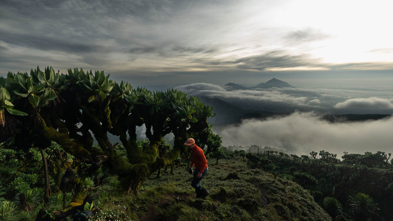 Hiking in RwandaHiking in Rwanda: a land of mist and magic - In4adventure