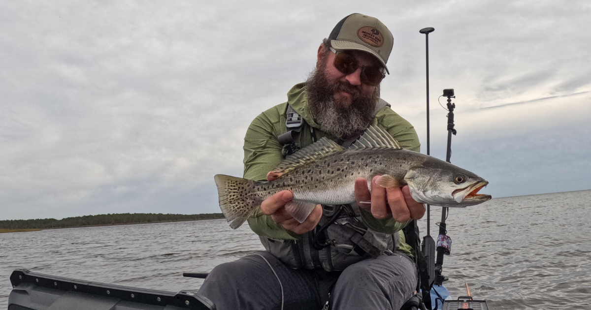 Pamlico Sound Fishing Guide - In4adventure