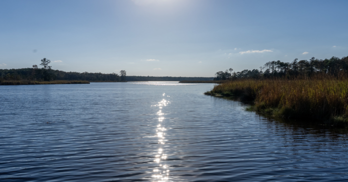Pamlico Sound Fishing Guide - In4adventure