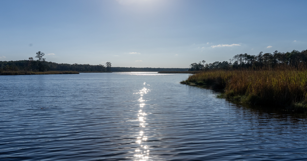 Pamlico Sound Fishing Guide - In4adventure